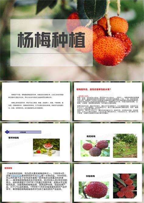 Ppt