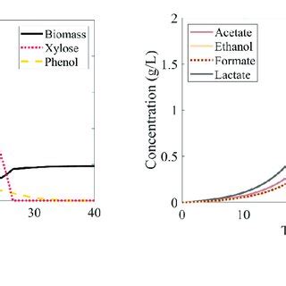 Dynamic Flux Balance Analysis Simulations Of Xylose And Phenol Download Scientific Diagram
