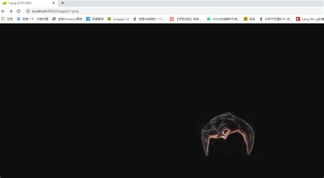 Springboot项目通过url访问静态图片本地文件夹下的图片 （简单的springboot上传图片生成可访问的url） 编程库
