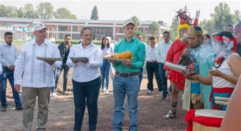 La milpa herencia cultural e investigación agronómica CIMMYT