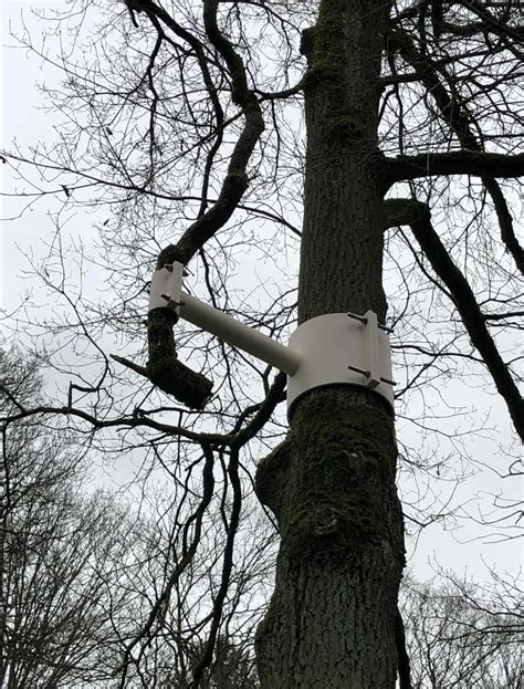 To Fix The Tree Rtherewasanattempt