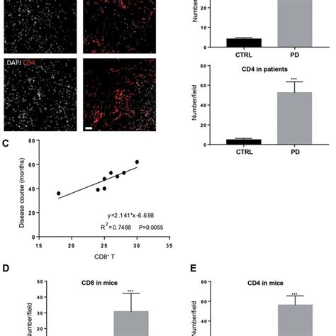 Icam1 Is Upregulated In Brain Endothelial Cells And Lfa1 Is Elevated In