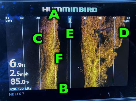 Easy Way To Understand And Interpret Side Imaging Sonar