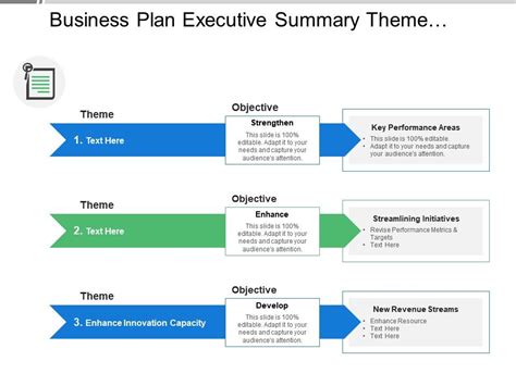 Business Plan Executive Summary Theme Objective Initiatives Template Presentation Sample Of