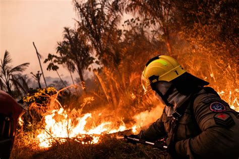 Los Incendios En Los Ángeles Devastan Archivos Mexicano Americanos