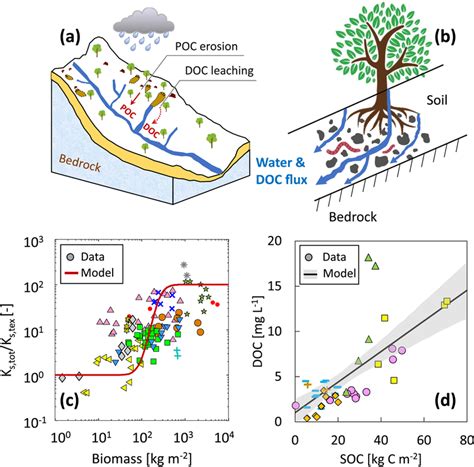 A Conceptual Illustration Of The Impacts Of Soil Structure On