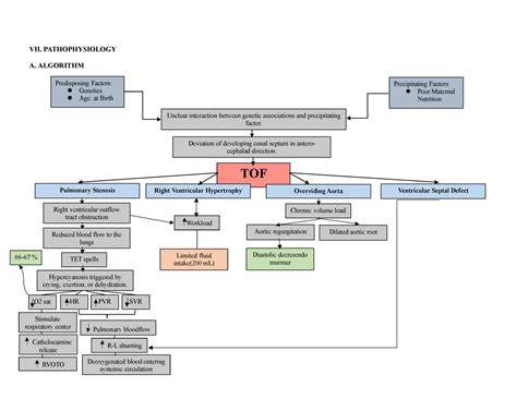 Pathophysiology Tof Read Vii Pathophysiology A Algorithm
