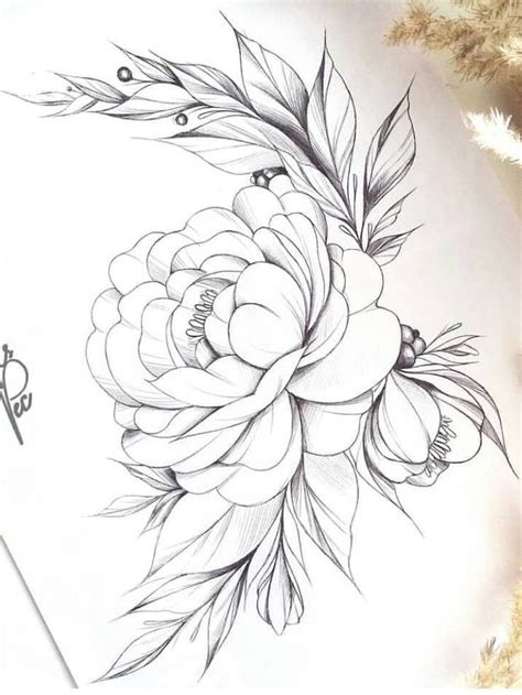 Pin By Valdemar Taramina On Aaa Aaaaa Rose Sketch Peony Drawing