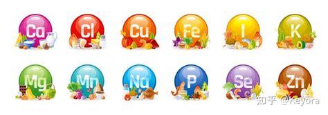 孕妇营养 （三） 妊娠期营养素代谢的改变 知乎