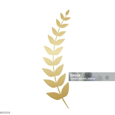 골드 월계수 가지 꽃 장식 칸막이 컬렉션 빈티지 월계수 화환 손으로 그린 벡터 월계수 장식 요소를 남깁니다 잎 소용돌이 화려한