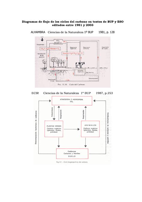 Carbono Distintos Ciclos Que Se Abarcan En Biología Diagramas De