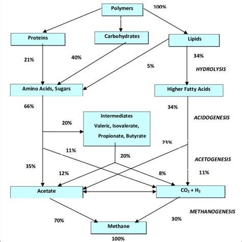 3 Degradation Steps Of Anaerobic Digestion Process Adapted From Download Scientific Diagram