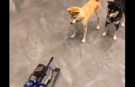 Крутая игрушка