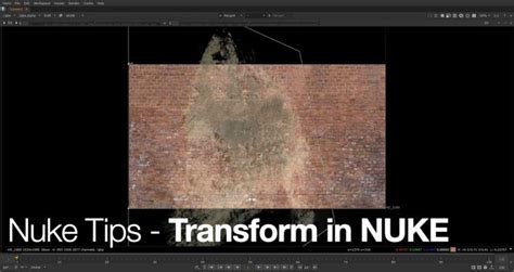 Nuke Tips Transform In Nuke Taukeke