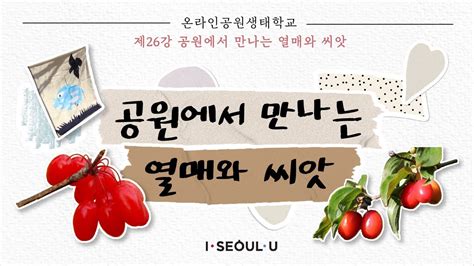 [온라인공원생태학교] 제26강 공원에서 만나는 열매와 씨앗 도꼬마리 다트 놀이ㅣ서울의 공원 Youtube