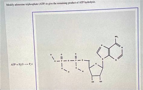 Solved Modify Adenosine Triphosphate Atp To Give The Remaining Product Of Atp Hydrolysis