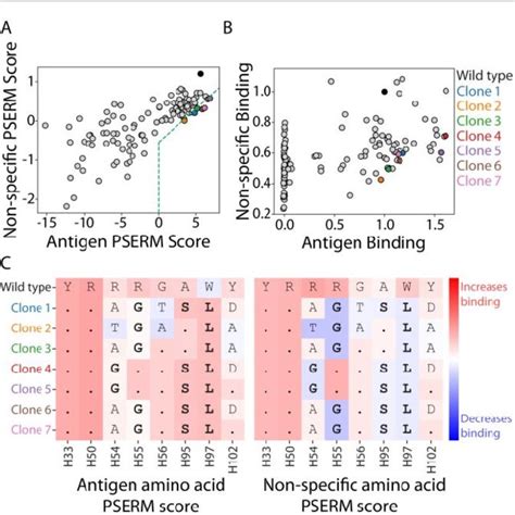Selection Of Clones With Co Optimal Antigen And Nonspecific Binding