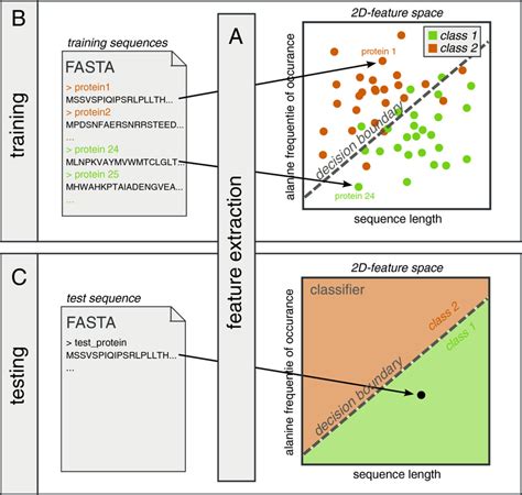 protein classification a feature extraction maps protein sequences to