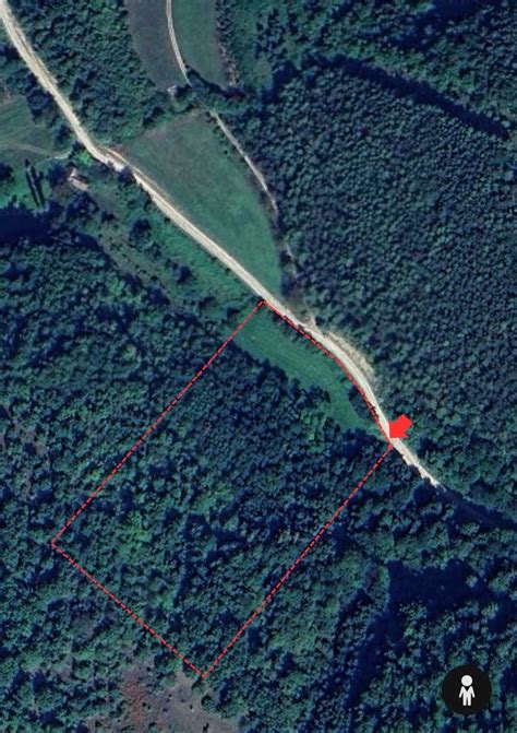 1 7 Hectare Teren Casa Vacanta Dumbravita De Codru Muntii Codru Moma Dumbravita De Codru • Olx Ro