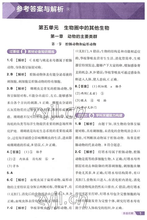 2022年一遍过八年级生物上册人教版答案——青夏教育精英家教网——