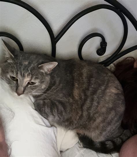 Forced Hiatus Ruminations And Stories LoversLab