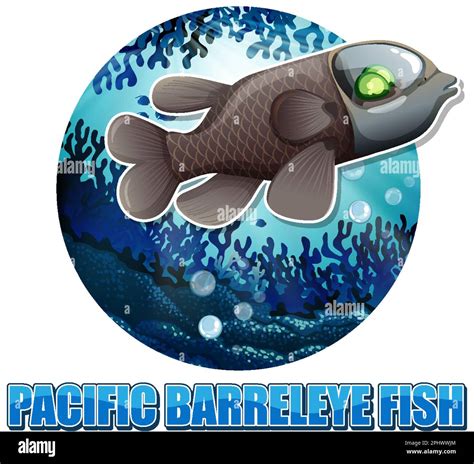 Barreleye Fisk Diagram