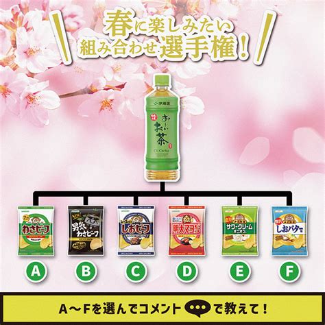 わさビーフの山芳製菓【公式】 突然ですが！ ／ 春🌸に楽しみたい組み合わせ選手権🐮！ お～いお茶🍵と一緒に食べたいわさビーフをシリーズ