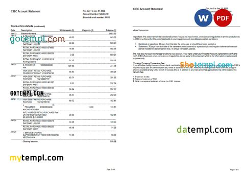 Fake USA CIBC Bank Statement 3 6 Months Download Word And PDF Template 4 Pages Download