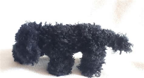 Ravelry Cockapoo Pattern By L Hodgins