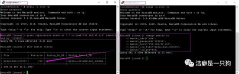 Mysql