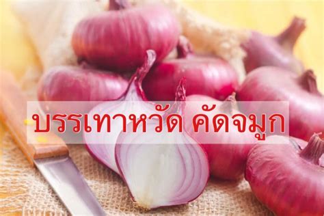 หอมแดงดีกับทางเดินหายใจ สารไบโอฟลาโวนอยต์ ที่อยู่ในหอมแดง มีฤทธิ์ช่วยขยายหลอดลม โดยเฉพาะกลิ่น