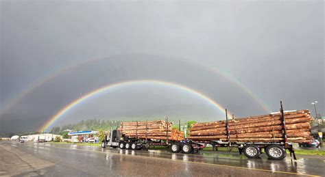 Jf Logging Jf Logging Added A New Photo