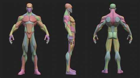 Artstation Stylized Average Anatomy Blockout Zbrush Game Character