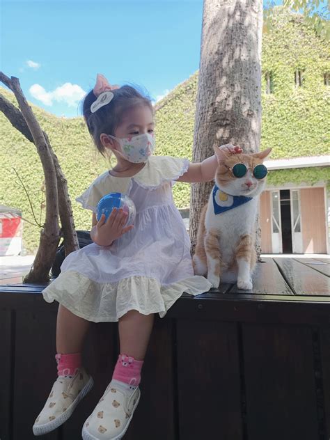 貓界小鮮肉 阿蹼仔 牙牙學語的可愛小妹妹看到仔仔，立刻走過來還想把寶貝球送給他，仔仔當然給摸給抱囉！