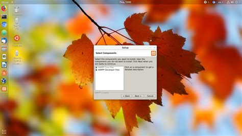 Установка и настройка Xampp Losst