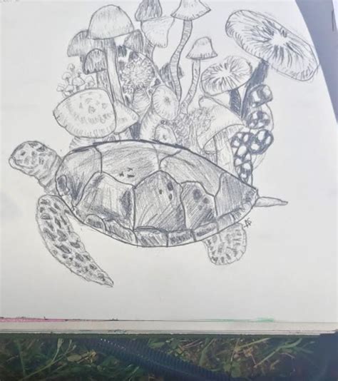 How Can I Improve R Learnart