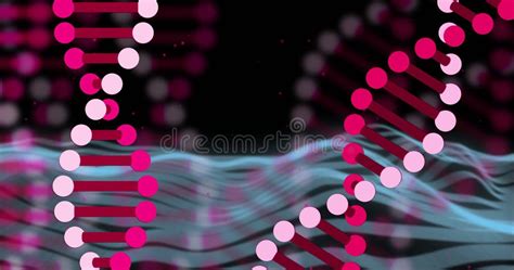 Dna Strands And Binary Coding Image Over Undulating Blue Waves Stock