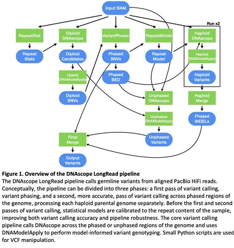 DNAscope LongRead PacBio Pipeline Sentieon