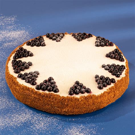 Receptor • რეცეპტორი Tbilisi