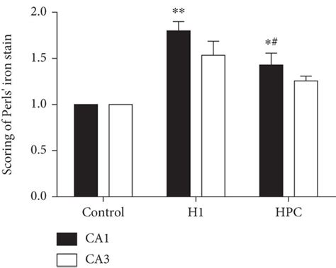 HPC Alleviates The Brain Injury Against Hypoxia N A Perls Iron Download Scientific