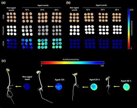 raw rgb images from soybean seeds for classes of non aged seeds and