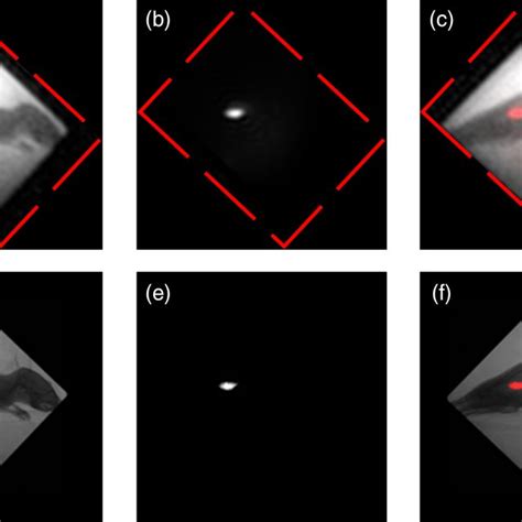 Multimodality Imaging Results Of A C57bl6 Mice Bearing Tumor Targeted