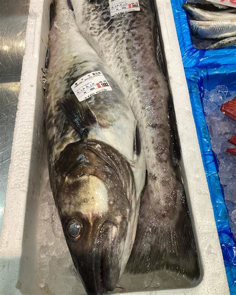 東鮮魚店 おはようございます😊 東鮮魚店です。 せっかくの日曜日、朝起きたら雨が降っていました☂️ 東鮮魚店は今日もお刺身のオンパレード
