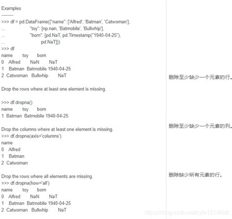 Pandas Dataframe 删除带空值的行 各种空值 Dropna、isna、isnull、fillna