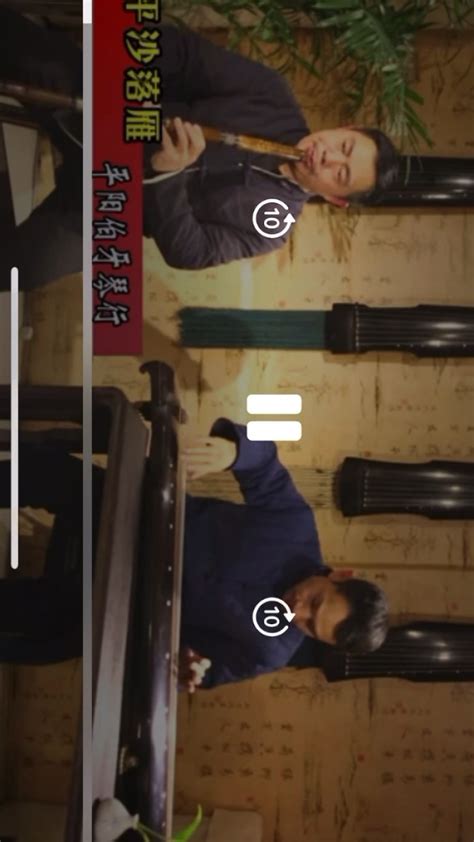 平沙落雁古琴演奏刘明有琴箫合奏版平沙落雁2015年演奏刘明有刘明有古琴 腾讯视频