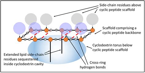 Molecules Free Full Text Binding Interactions Of Peptide Aptamers