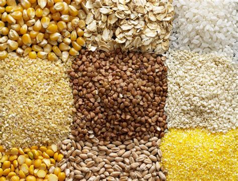 Cereals Grain Triticale