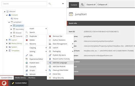 Experience Sitecore A Full Guide To Creating A Multi Language Sites With Sitecore Xm Cloud