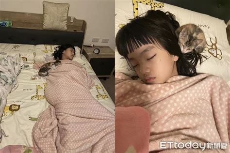 才收編3晚！小奶貓主動跳上床「陪睡小主人」 網羨：要好好珍惜 Ettoday寵物雲 Ettoday新聞雲