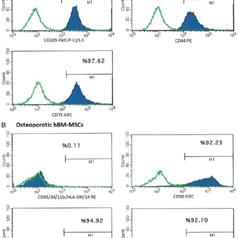 Flow Cytometry Analysis Of Hbm Derived Mscs With The Immune Profile Of